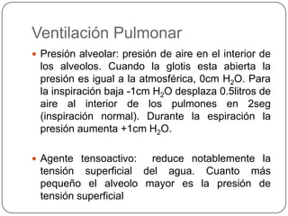 Fisiologia pulmonar | PPTX