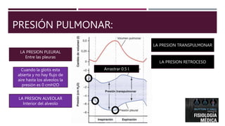 fisiologia pulmonar. Guyton. Introducción pptx | PPTX