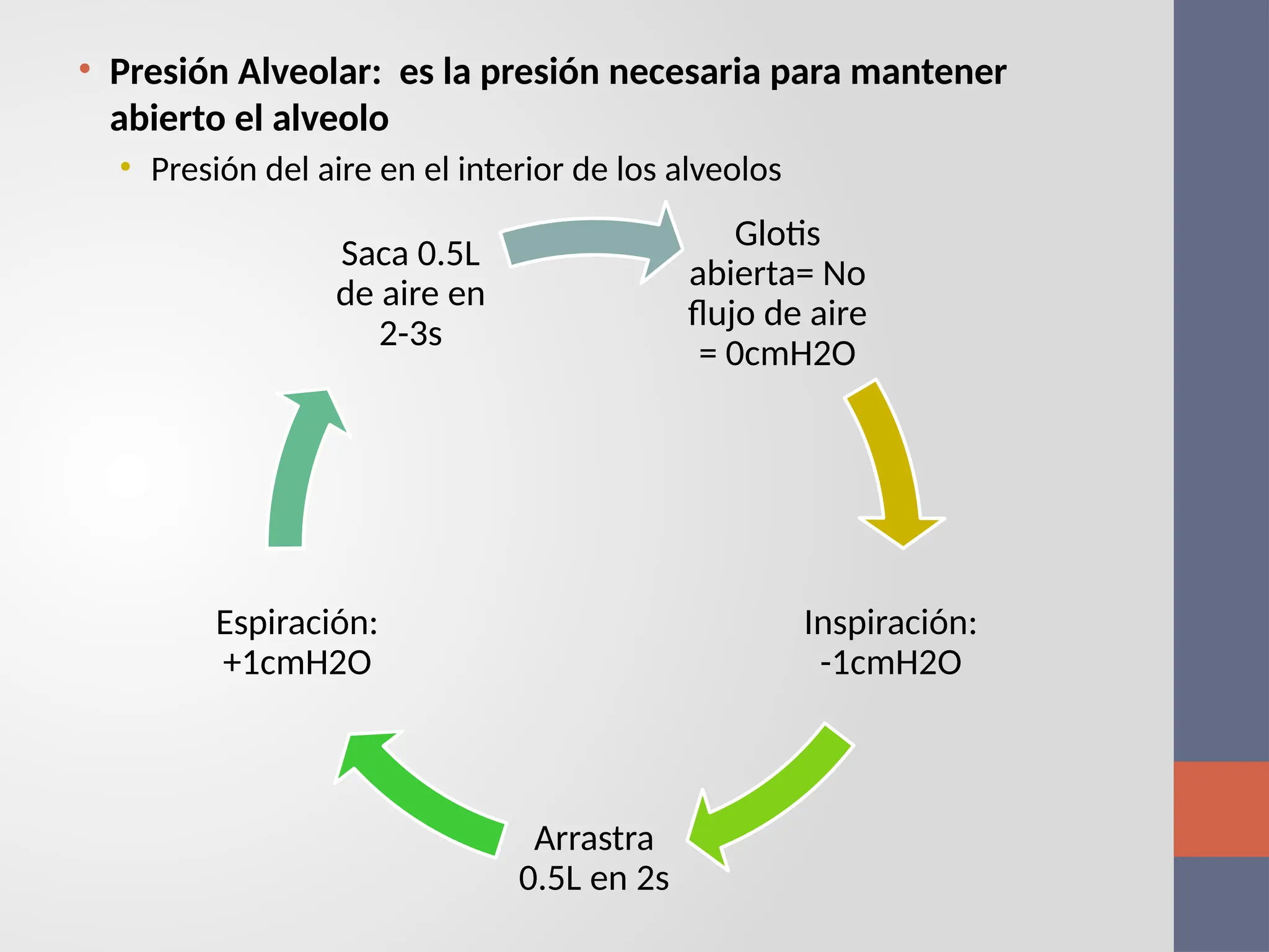 fisiologia pulmonar Y ZONAS DE WEST ANESTESIOLOGIA | PPTX