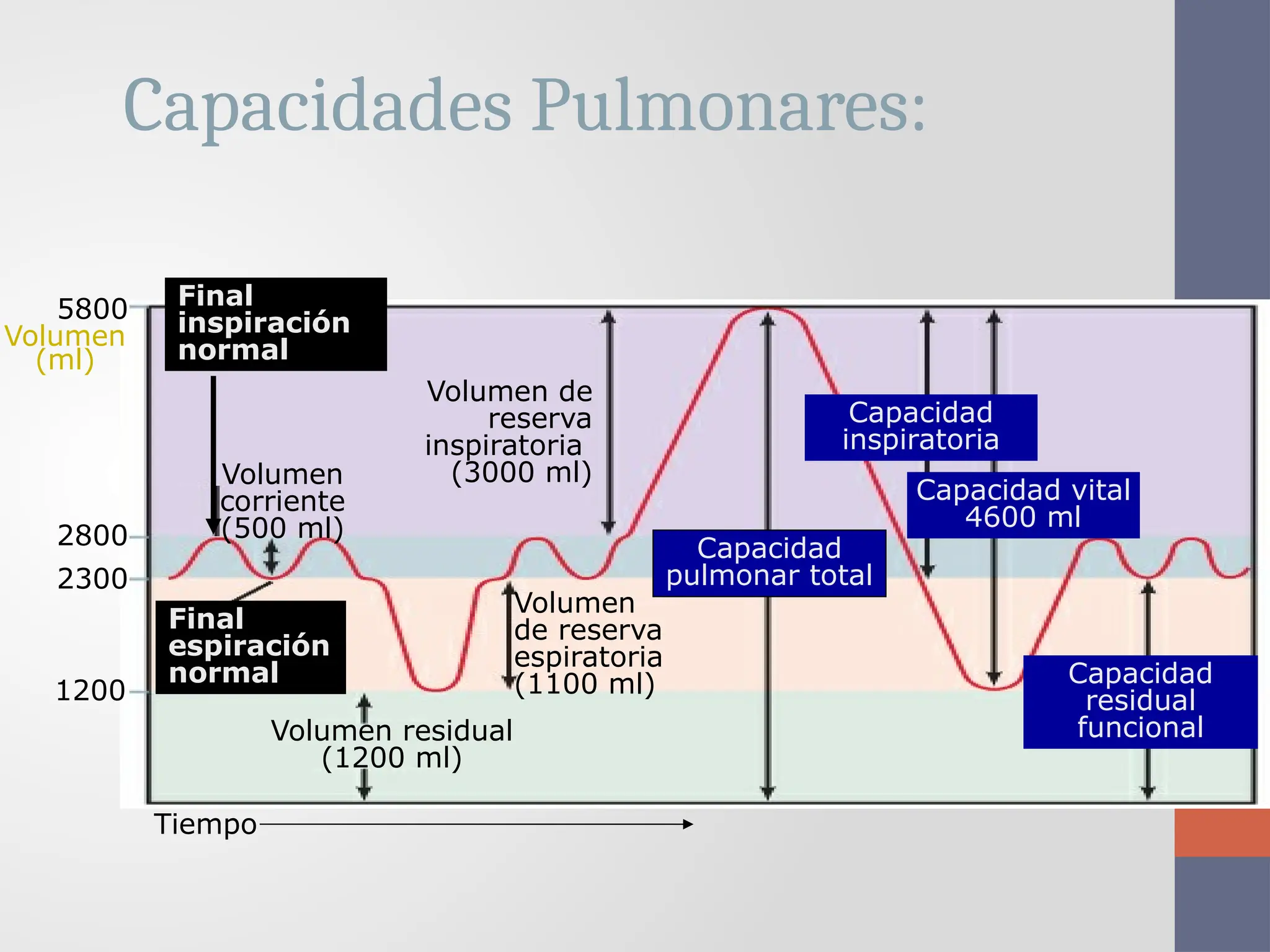 fisiologia pulmonar Y ZONAS DE WEST ANESTESIOLOGIA | PPTX