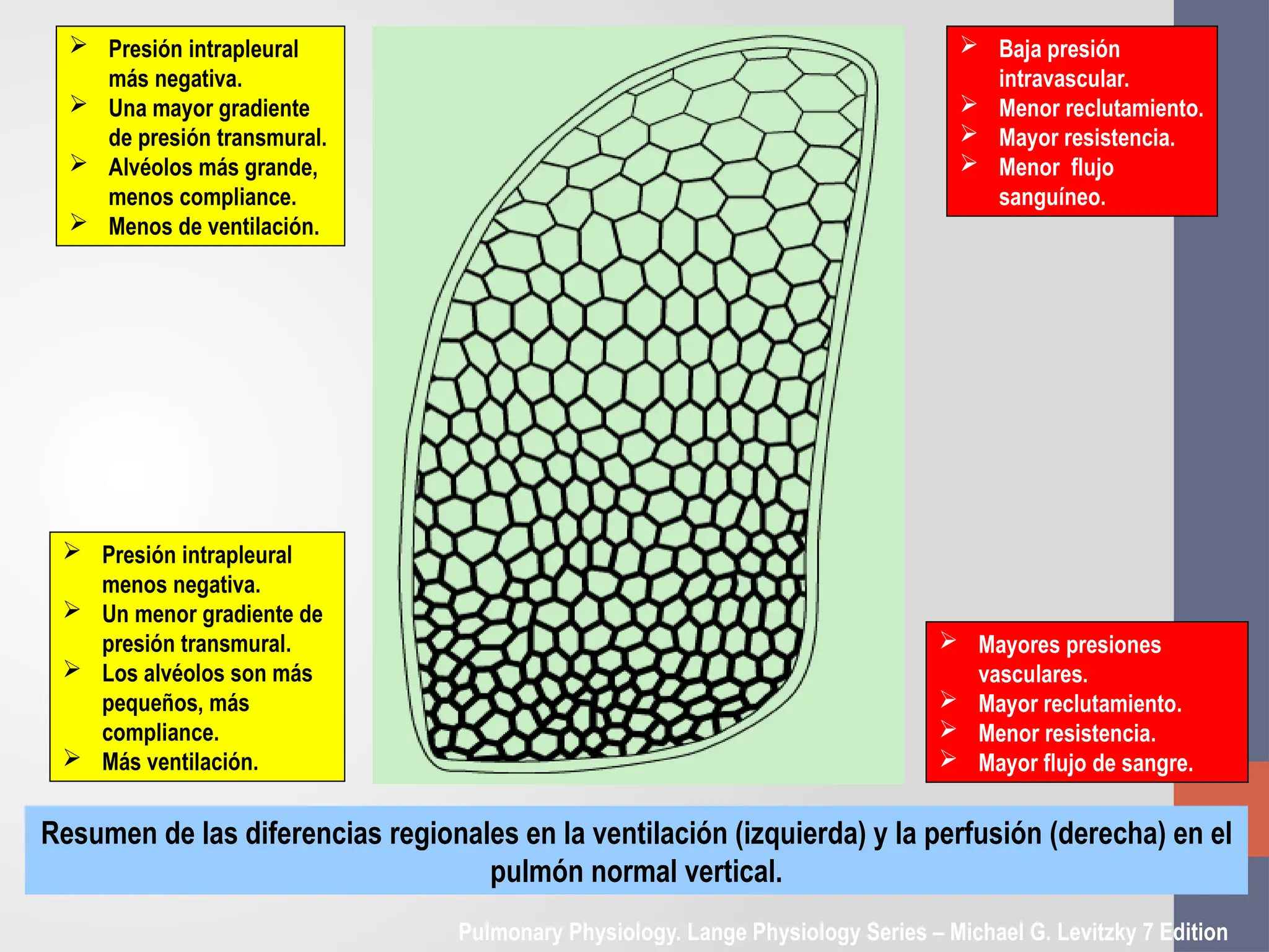 fisiologia pulmonar Y ZONAS DE WEST ANESTESIOLOGIA | PPTX