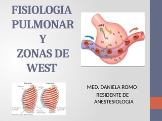 fisiologia pulmonar Y ZONAS DE WEST ANESTESIOLOGIA | PPTX
