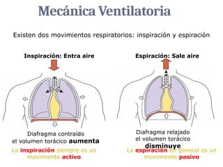 fisiologia pulmonar Y ZONAS DE WEST ANESTESIOLOGIA | PPTX