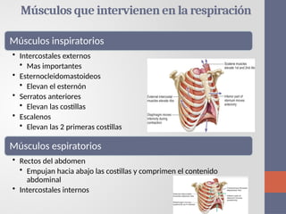 fisiologia pulmonar Y ZONAS DE WEST ANESTESIOLOGIA | PPTX
