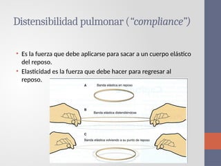 fisiologia pulmonar Y ZONAS DE WEST ANESTESIOLOGIA | PPTX