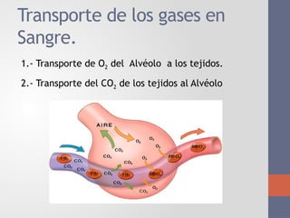 fisiologia pulmonar Y ZONAS DE WEST ANESTESIOLOGIA | PPTX