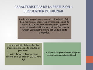 fisiologia pulmonar Y ZONAS DE WEST ANESTESIOLOGIA | PPTX