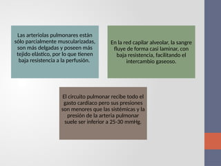 fisiologia pulmonar Y ZONAS DE WEST ANESTESIOLOGIA | PPTX