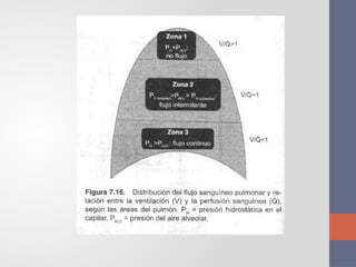 fisiologia pulmonar Y ZONAS DE WEST ANESTESIOLOGIA | PPTX
