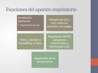 fisiologia pulmonar Y ZONAS DE WEST ANESTESIOLOGIA | PPTX