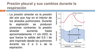 Fisiologia pulmonar oralia | PPT