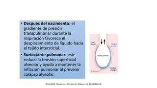 FISIOLOGIA DEL DESARROLLO PULMONAR FETAL.pptx