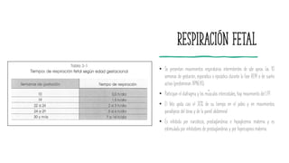 FISIOLOGÍA PULMONAR EN EL RECIEN NACIDOpdf | PDF