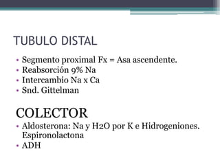 Fisiologia renal | PPTX