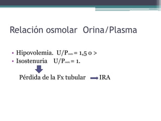 Fisiologia renal | PPTX