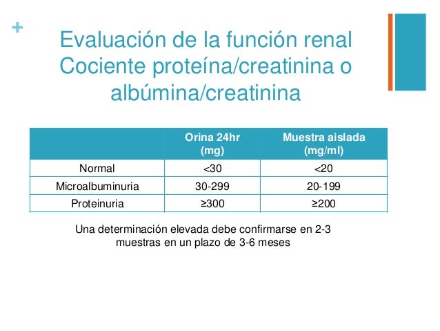 Fisiologia renal
