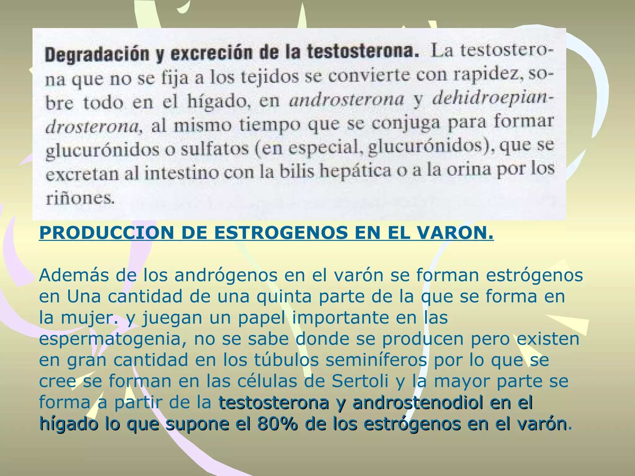 Fisiologia reproductora masculina 22 | PPT
