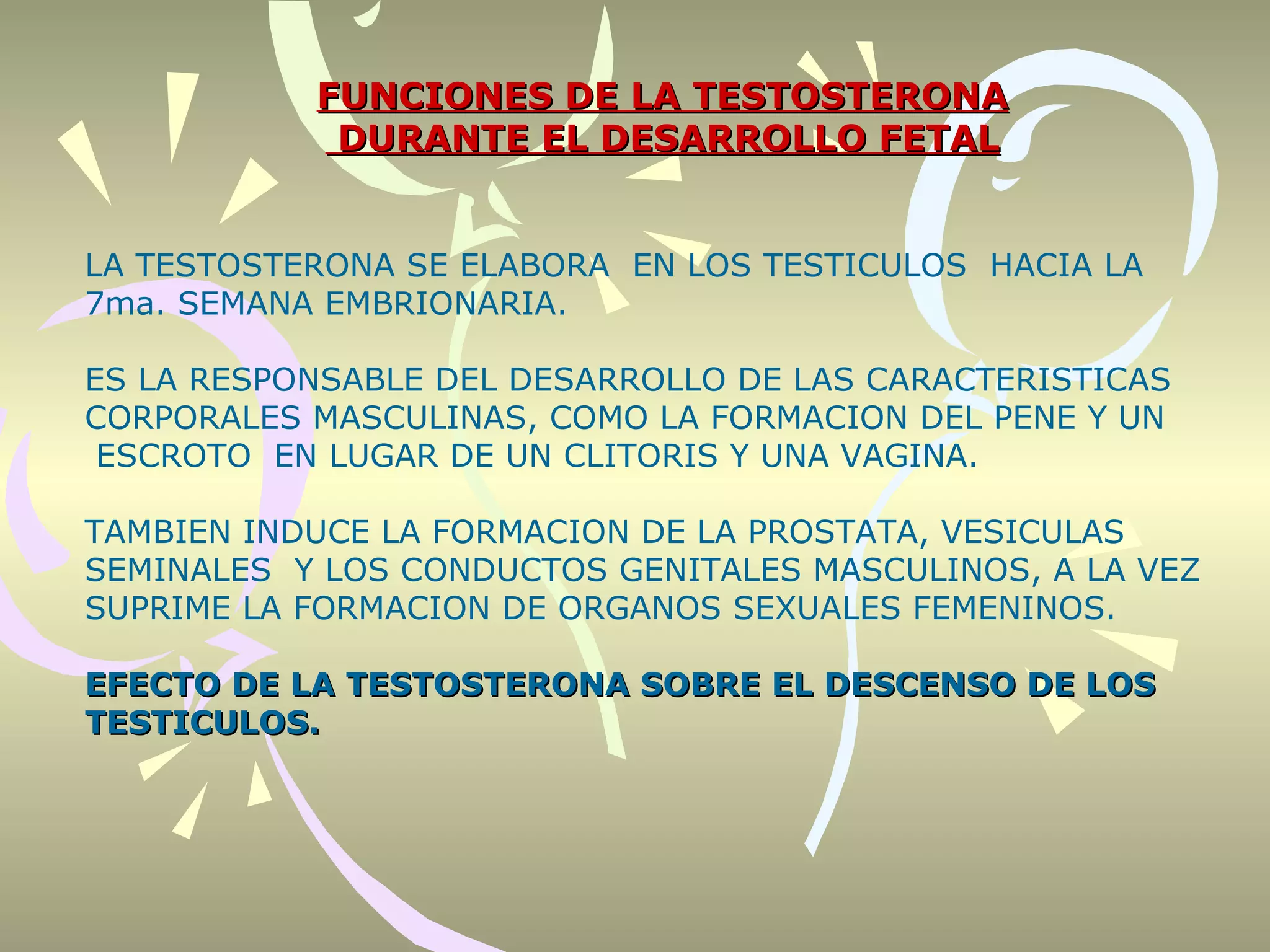 Fisiologia reproductora masculina 22 | PPT
