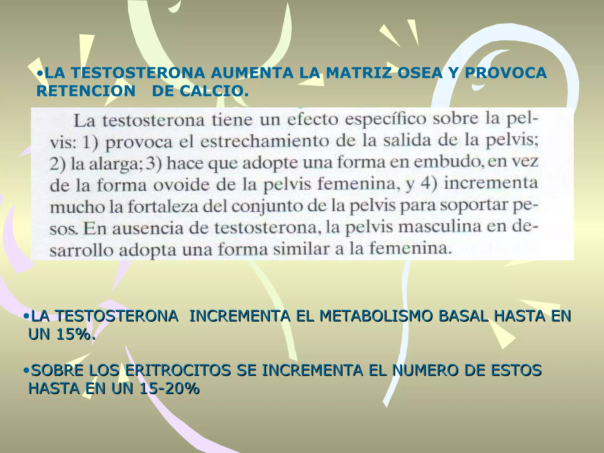 Fisiologia reproductora masculina 22 | PPT