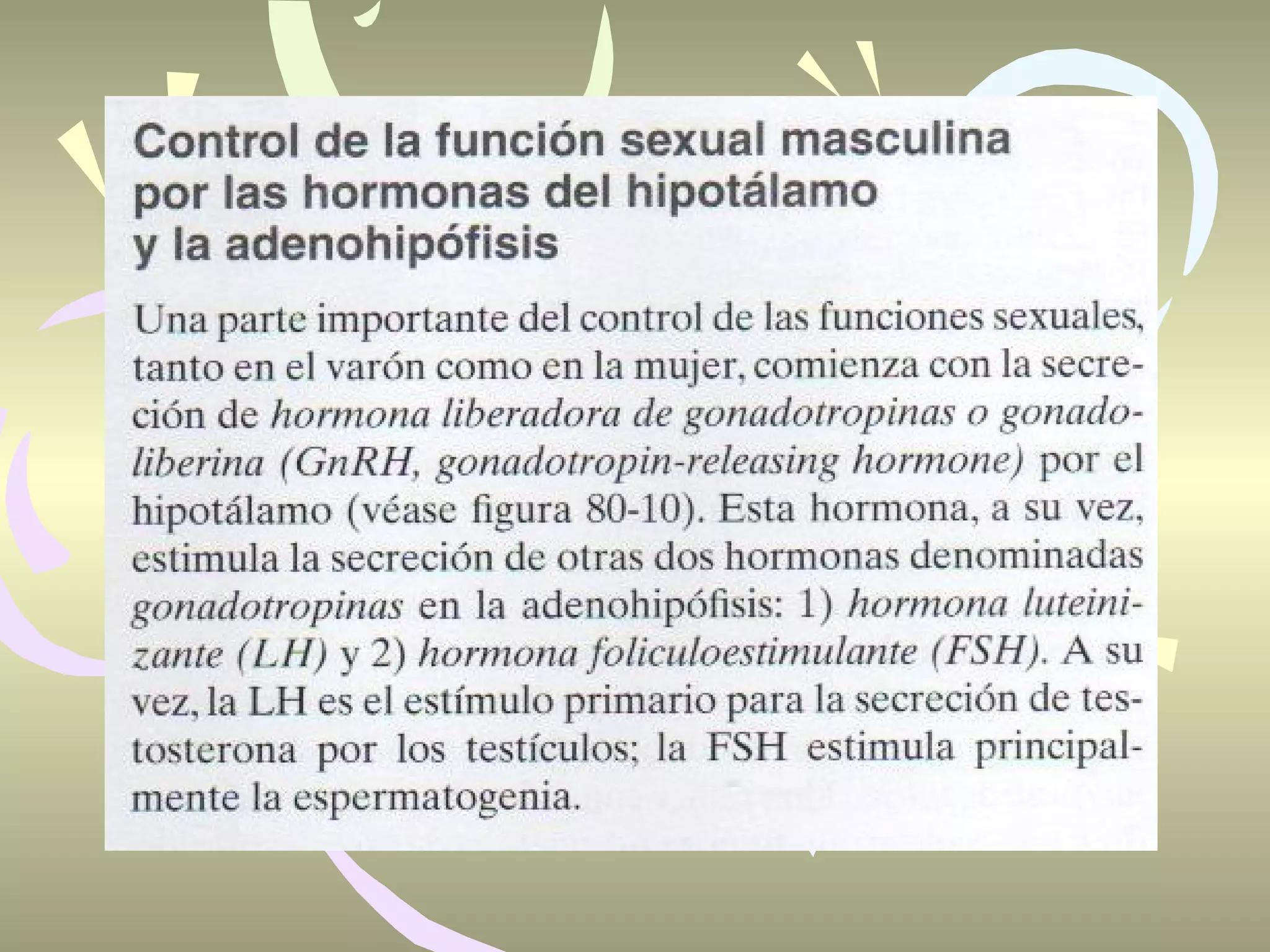 Fisiologia reproductora masculina 22 | PPT