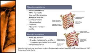 Fisiologia de la respiracion | PPTX