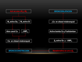 Fisiologia respiratoria. Dinámica y mecánica pulmonar | PPTX