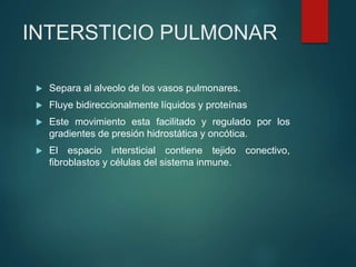 Fisiologia respiratoria | PPTX