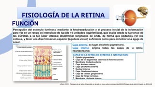 FISIOLOGIA RETINA NERVIO OPTICO-430.pptx