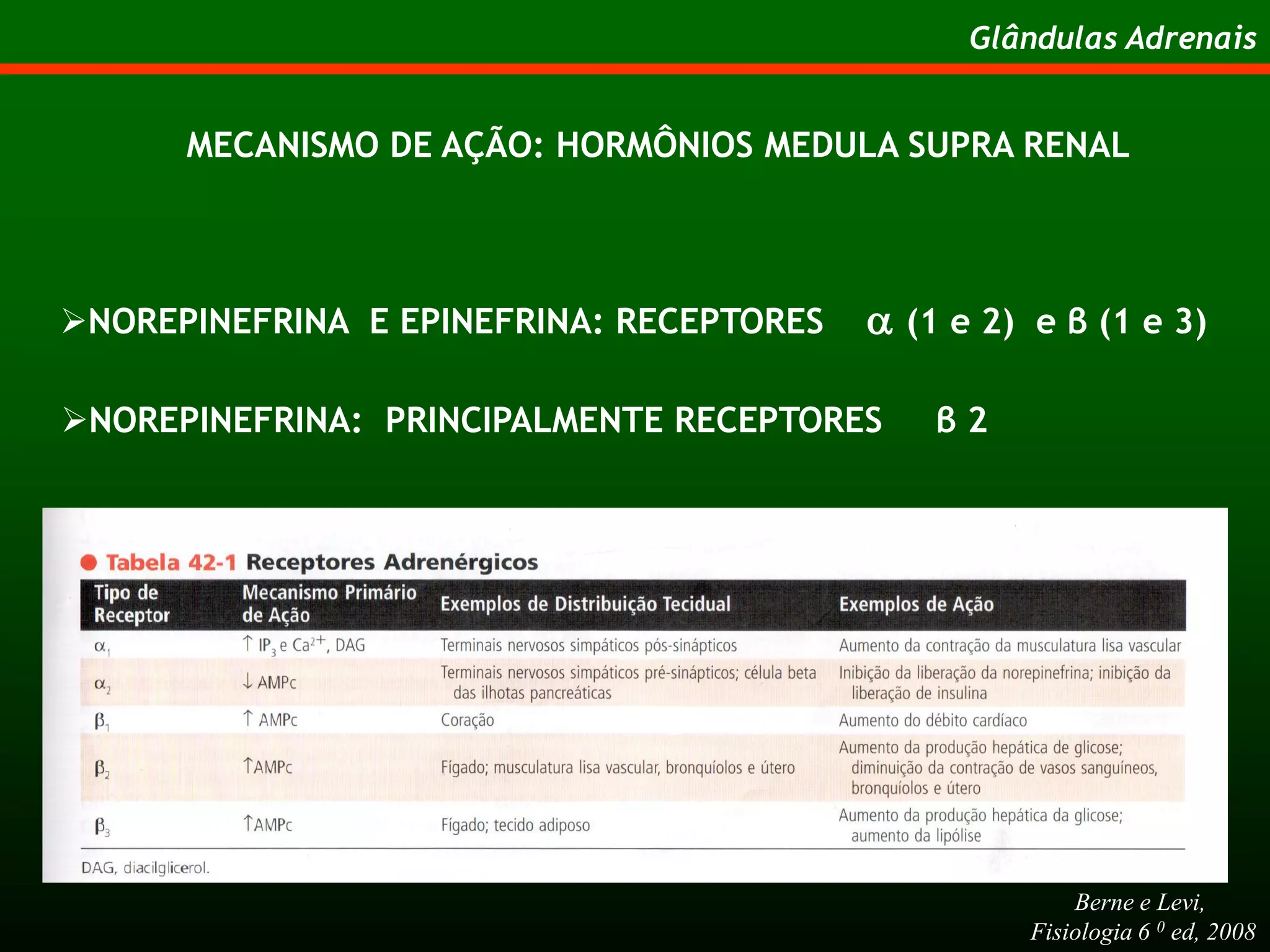 Fisiologia sistema endócrino suprarenais | PPT