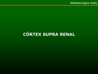 Fisiologia sistema endócrino suprarenais | PDF