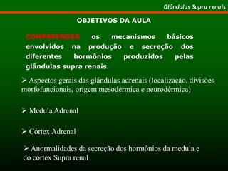 Fisiologia sistema endócrino suprarenais | PDF