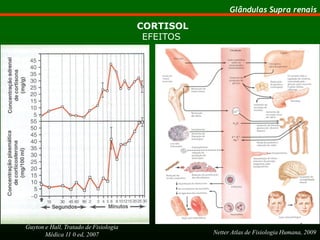 Fisiologia sistema endócrino suprarenais | PDF