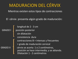 Fisiologia uterina | PPT