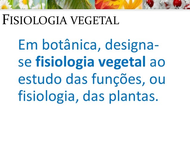 Fisiologia vegetal