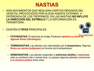 Fisiologia vegetal IV: Relación | PPT