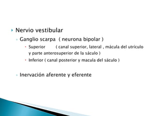 Fisiologia vestibular | PPT