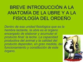 Fisiologia y anatomia de la vaca | PPT