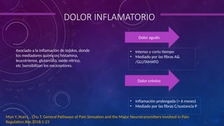 FISIOLOGIA Y FISIOPATOLOGIA DEL DOLOR.pptx