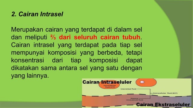 FISIOLOGI CAIRAN TUBUH.ppt