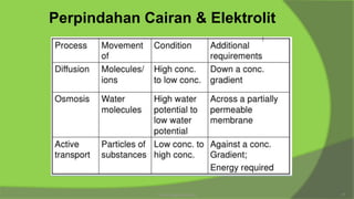 FISIOLOGI CAIRAN TUBUH.ppt