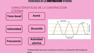 FISIOLOGI%CC%81A%20DE%20CONTRACCIO%CC%81N%20UTERINA-1.pdf.pdf
