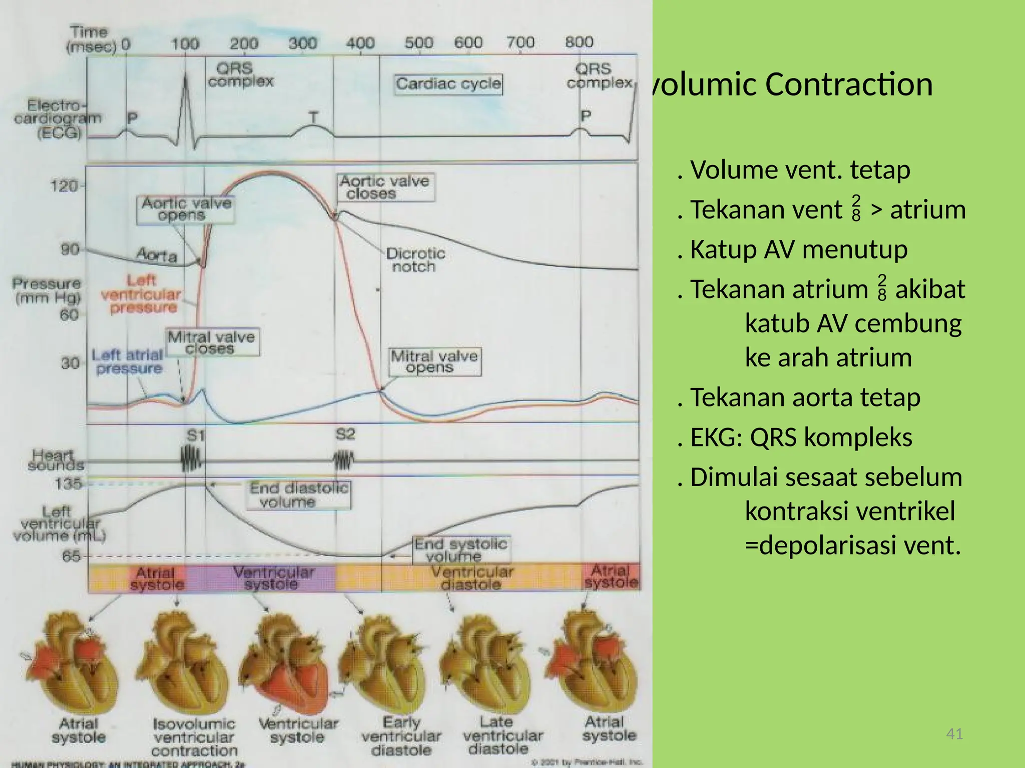 FISIOLOGI CVS pada kardiovaskular keperawatan | PPTX