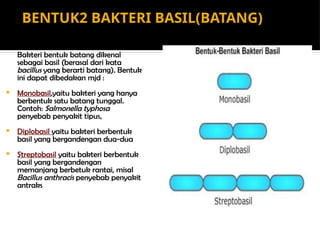 Fisiologi dan Struktur Bakter dan morfologi bakteri i.pptx