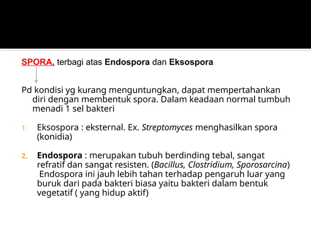 Fisiologi dan Struktur Bakter dan morfologi bakteri i.pptx