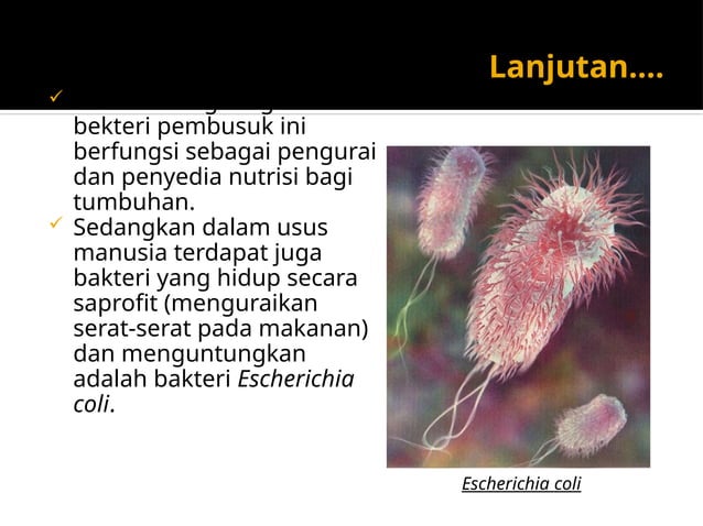 Fisiologi dan Struktur Bakter dan morfologi bakteri i.pptx