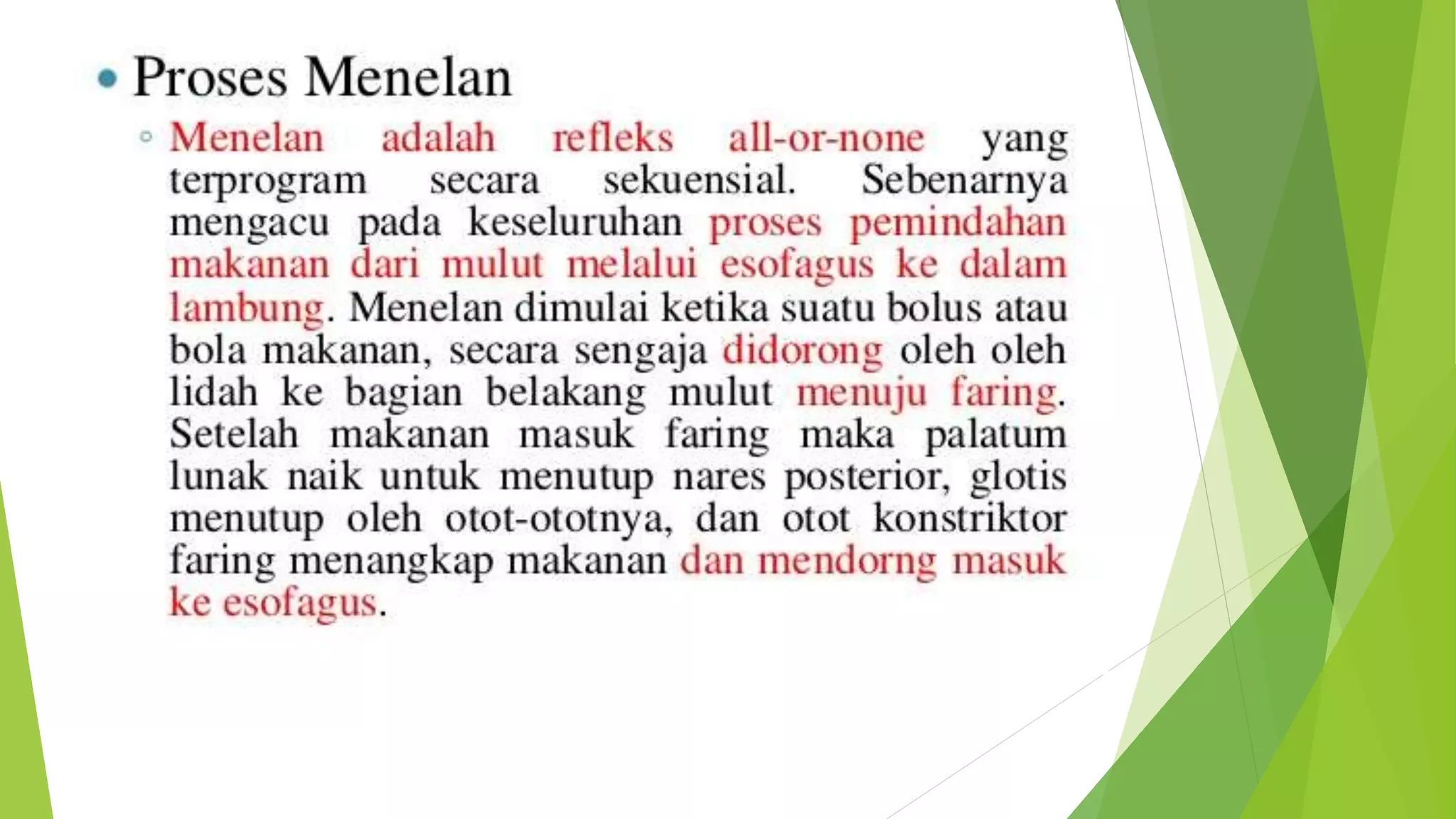 FISIOLOGI FARING, LARING, DAN ESOFAGUS.pptx