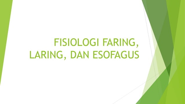 FISIOLOGI FARING, LARING, DAN ESOFAGUS.pptx