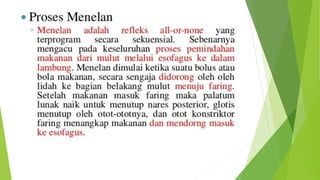 FISIOLOGI FARING, LARING, DAN ESOFAGUS.pptx