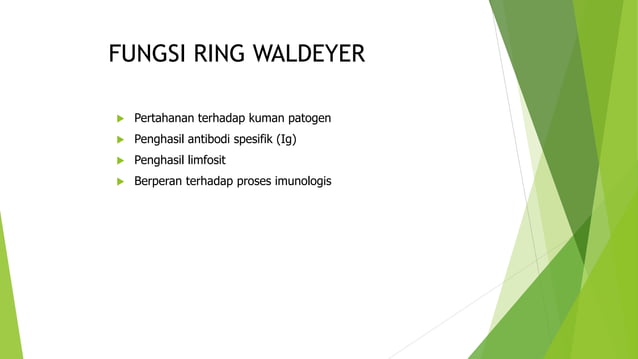 FISIOLOGI FARING, LARING, DAN ESOFAGUS.pptx