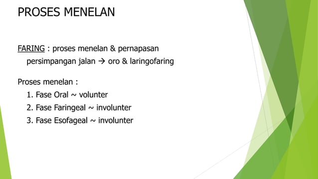 FISIOLOGI FARING, LARING, DAN ESOFAGUS.pptx